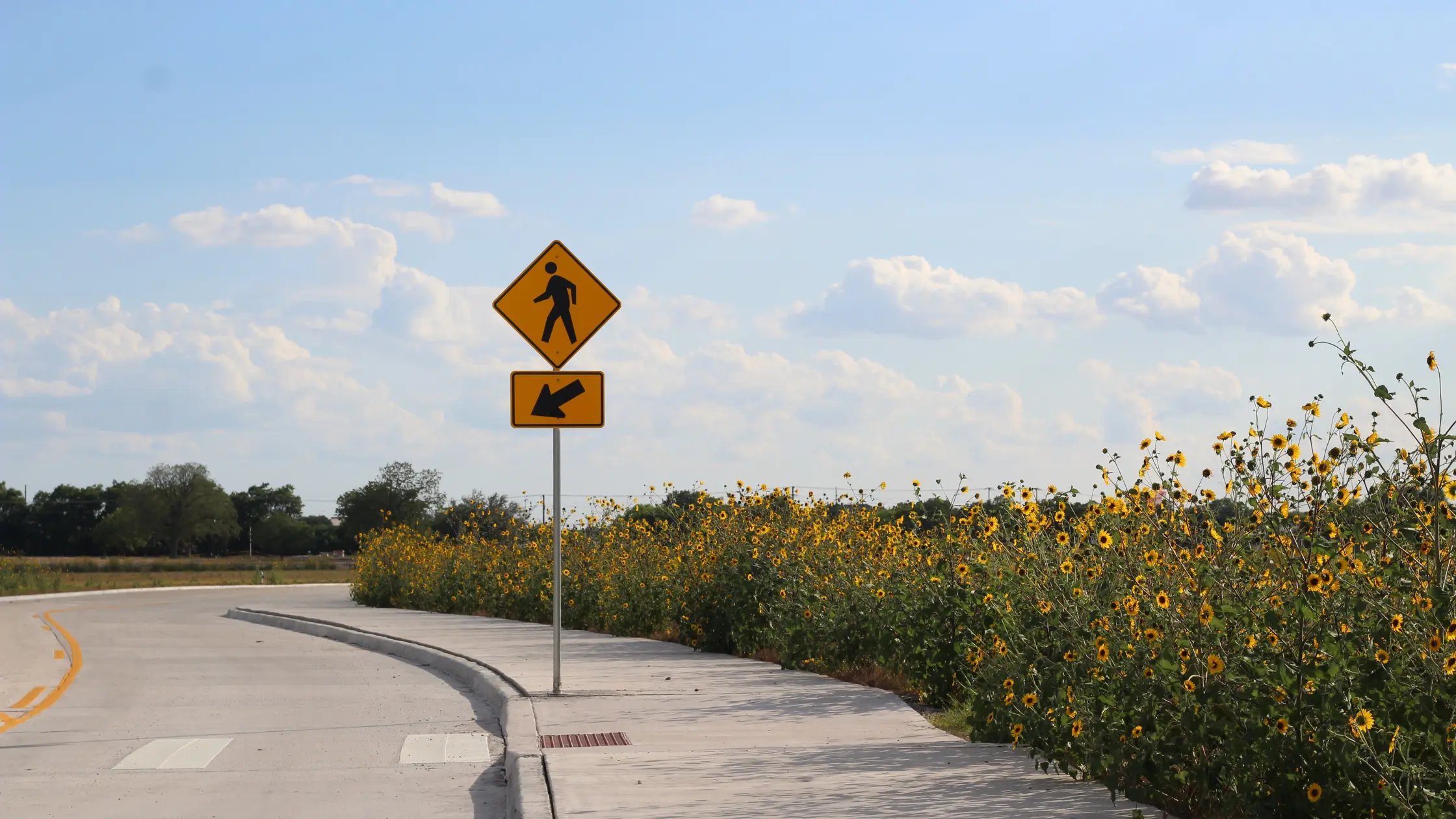 Road Hazards: Spotting and Avoiding Dangers While Driving - LOOP Road Hazards: Spotting and Avoiding Dangers While Driving - LOOP